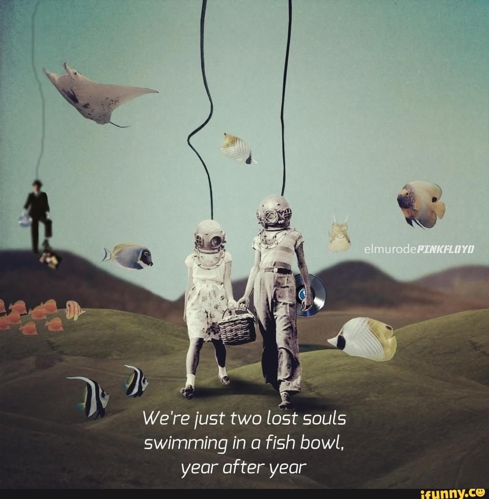 We We're just two lost souls swimming in a fish bowl, year after year ...