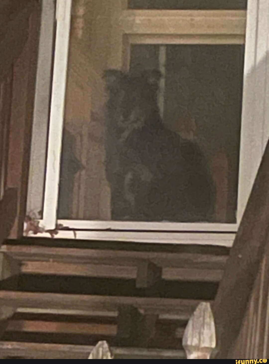 Batman memes. Best Collection of funny Batman pictures on iFunny