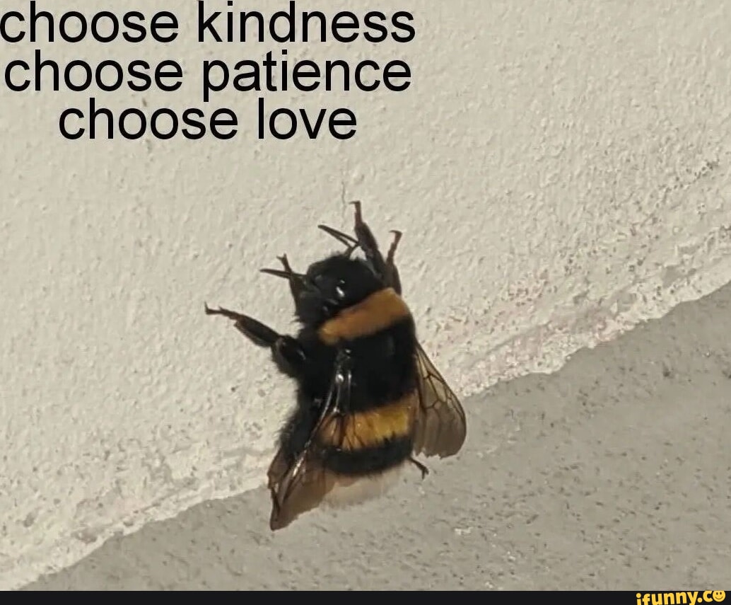 Choose kindness choose patience choose love - iFunny