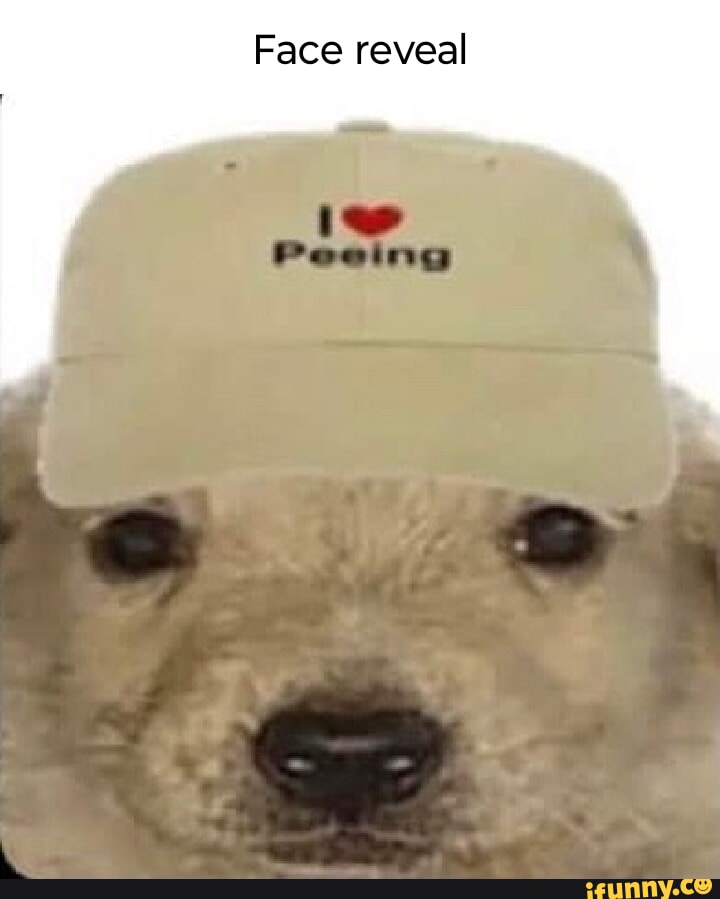 Jotchua memes. Best Collection of funny Jotchua pictures on iFunny