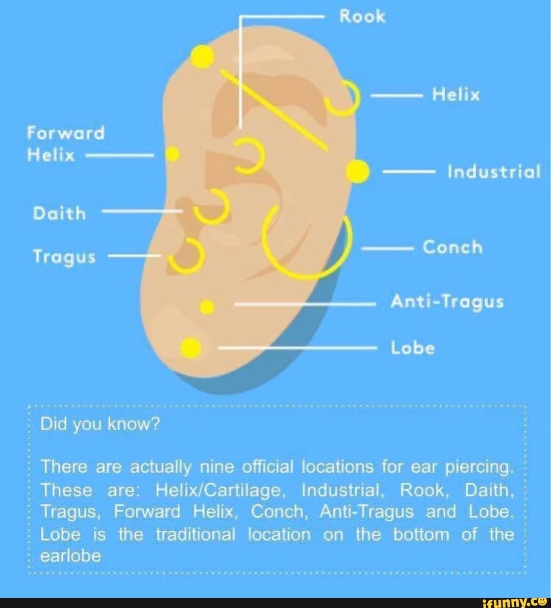 There are actually nine official locations for ear piercing. : These ...