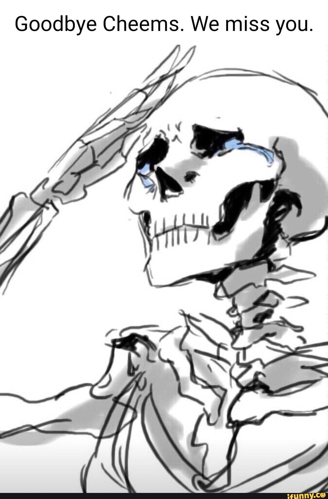 Goodbye Cheems. We miss you. - iFunny