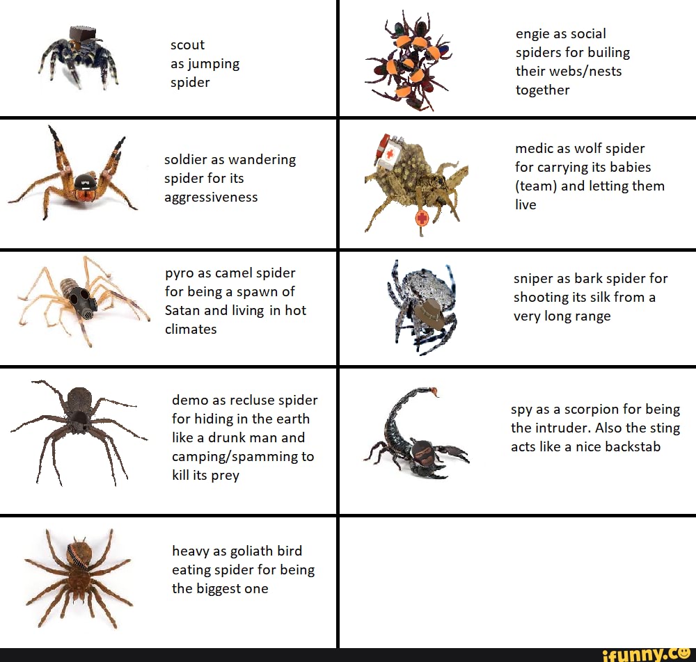 Engie as social spiders for builing their together scout as jumping ...