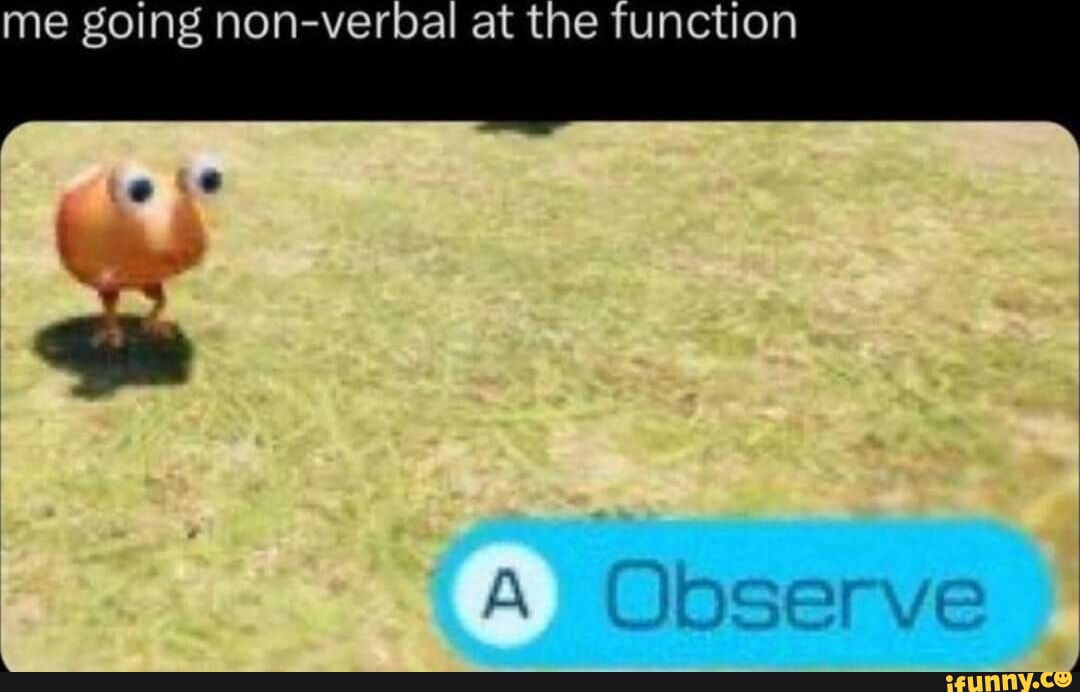 Me going non-verbal at the function A Observe - iFunny