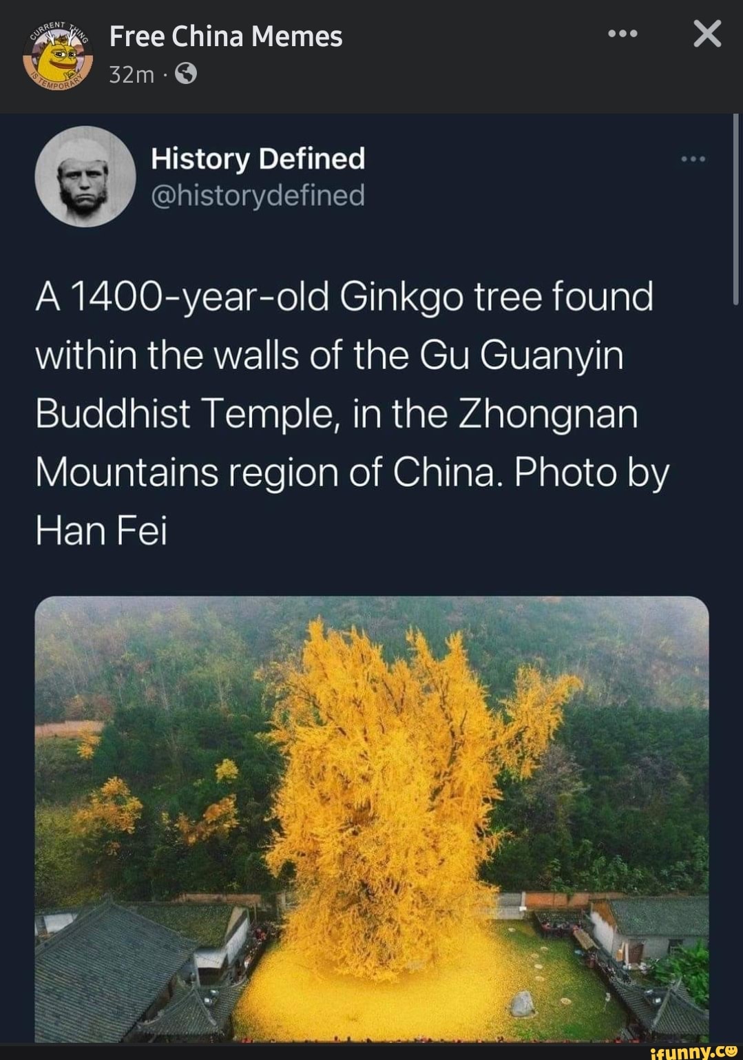 Free China Memes History Defined A 1400-year-old Ginkgo tree found ...