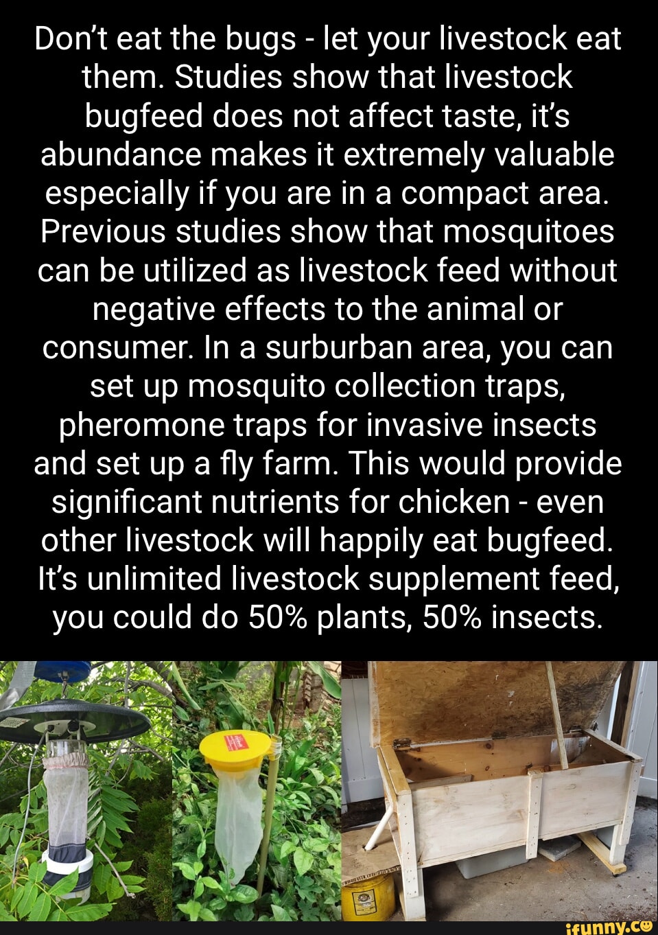 Don't eat the bugs - let your livestock eat them. Studies show that ...