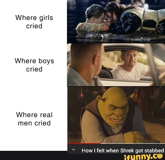 Girls cried How I fen when Shrek got stabbed - iFunny