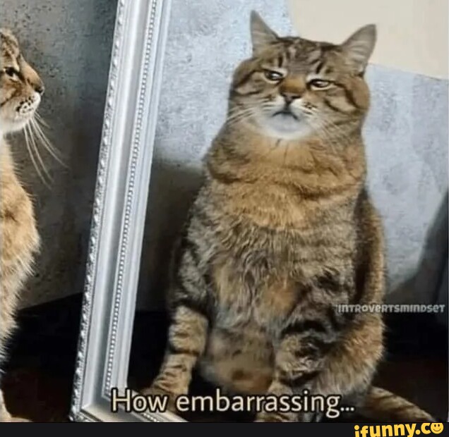 Barra memes. Best Collection of funny Barra pictures on iFunny