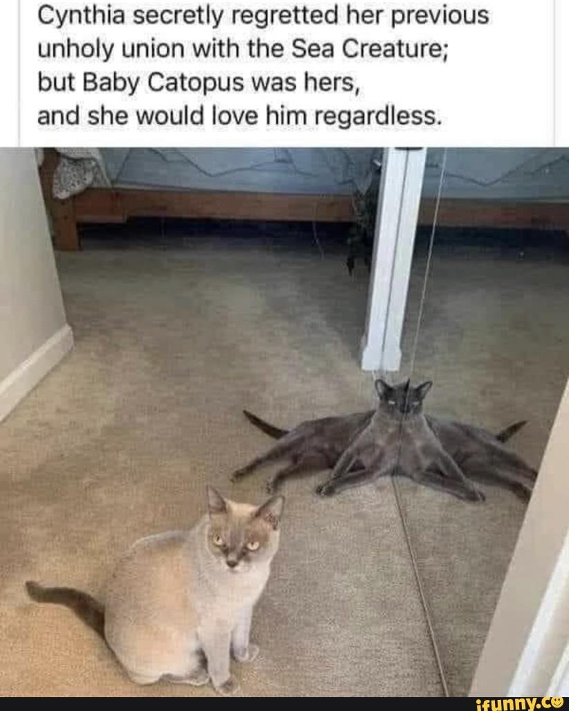 Cynthia memes. Best Collection of funny Cynthia pictures on iFunny