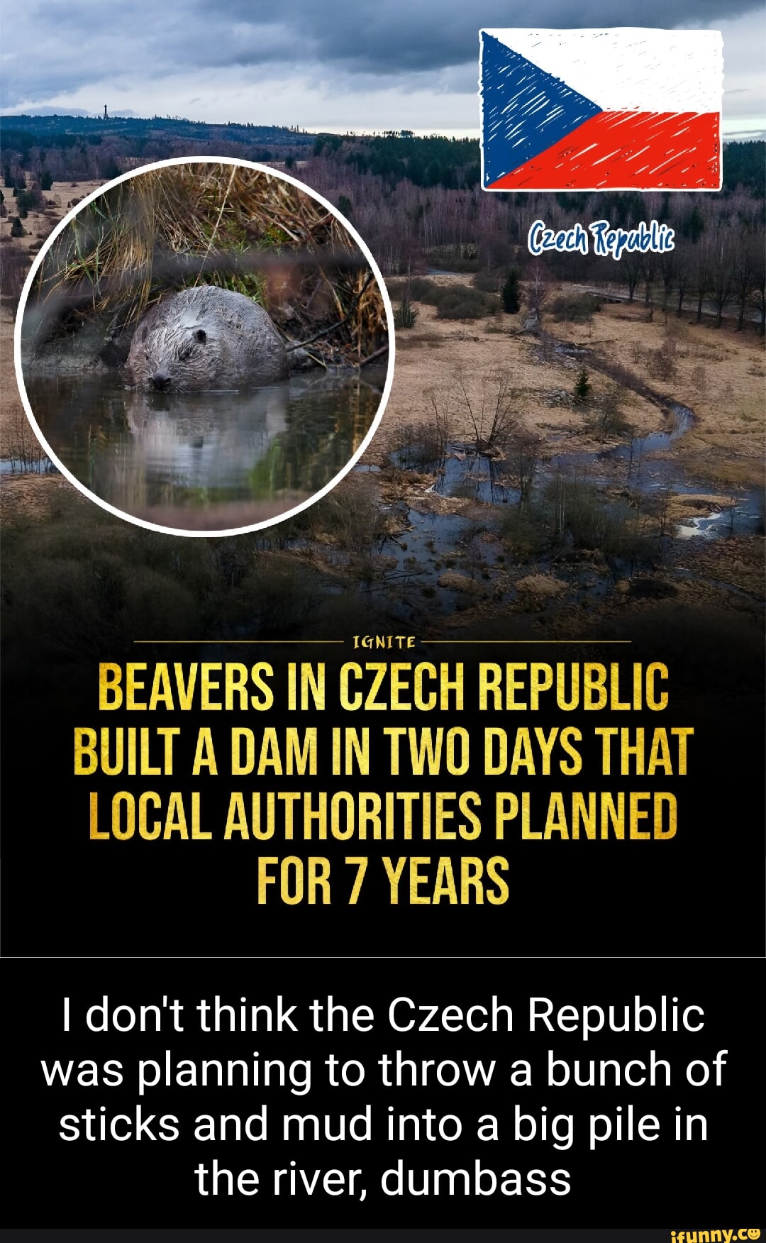 Dam memes. Best Collection of funny Dam pictures on iFunny