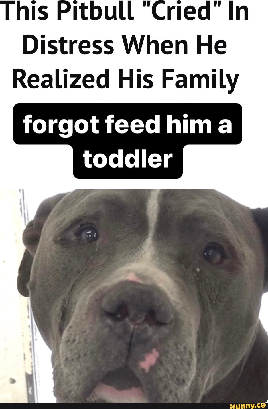 Distress When He Realized His Family forgot feed him toddler - iFunny