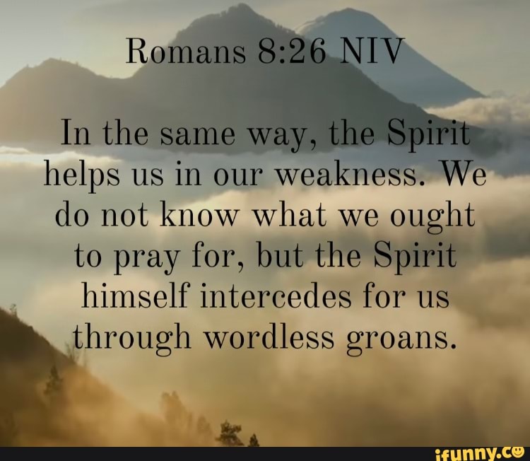 Wordless memes. Best Collection of funny Wordless pictures on iFunny