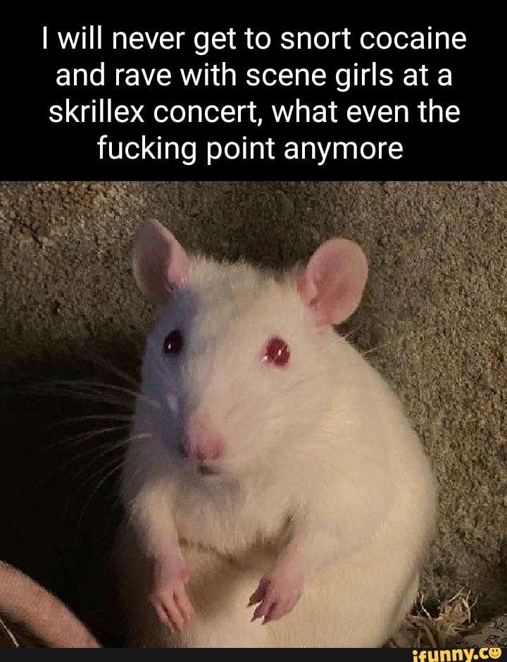 Skrillex memes memes. The best memes on iFunny