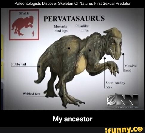 Paleontologists Discover Skeleton Of Natures First Sexual Predator ...