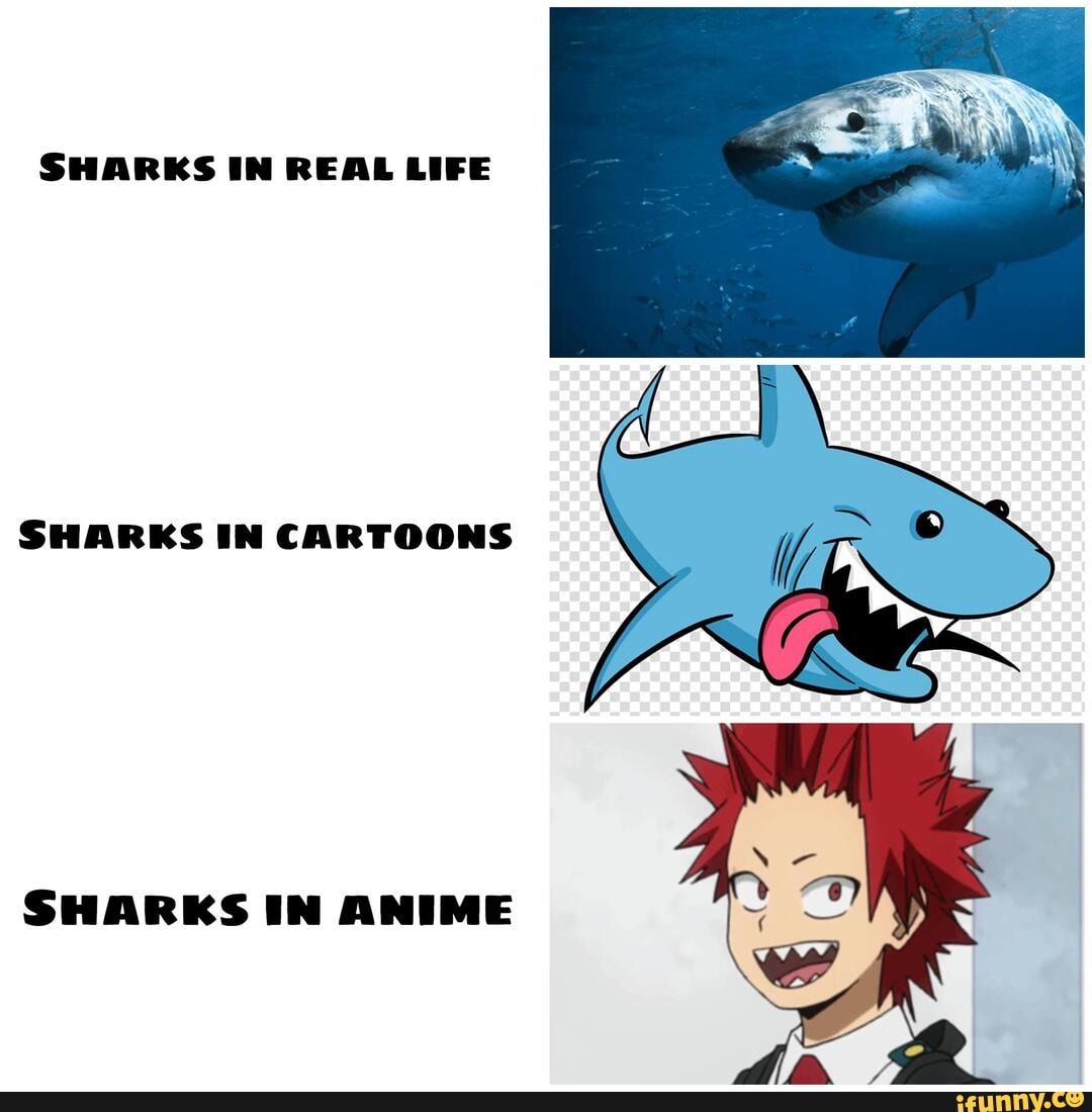 SHARKS IN CARTOONS - iFunny