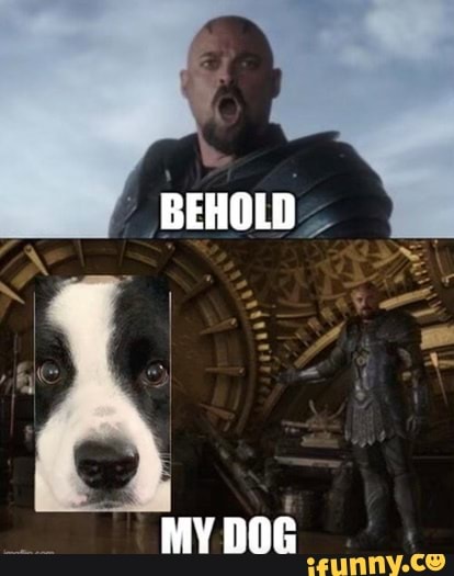 BEHOLD MV DOG - iFunny