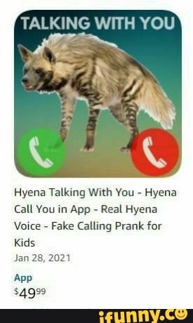 TALKING WITH YOU Hyena Talking With You - Hyena Call You in App - Real ...