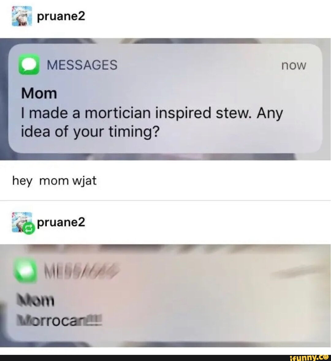 Pruane2 MESSAGES Mom I made a mortician inspired stew. Any idea of your ...