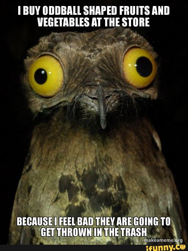 Oddball memes. Best Collection of funny Oddball pictures on iFunny