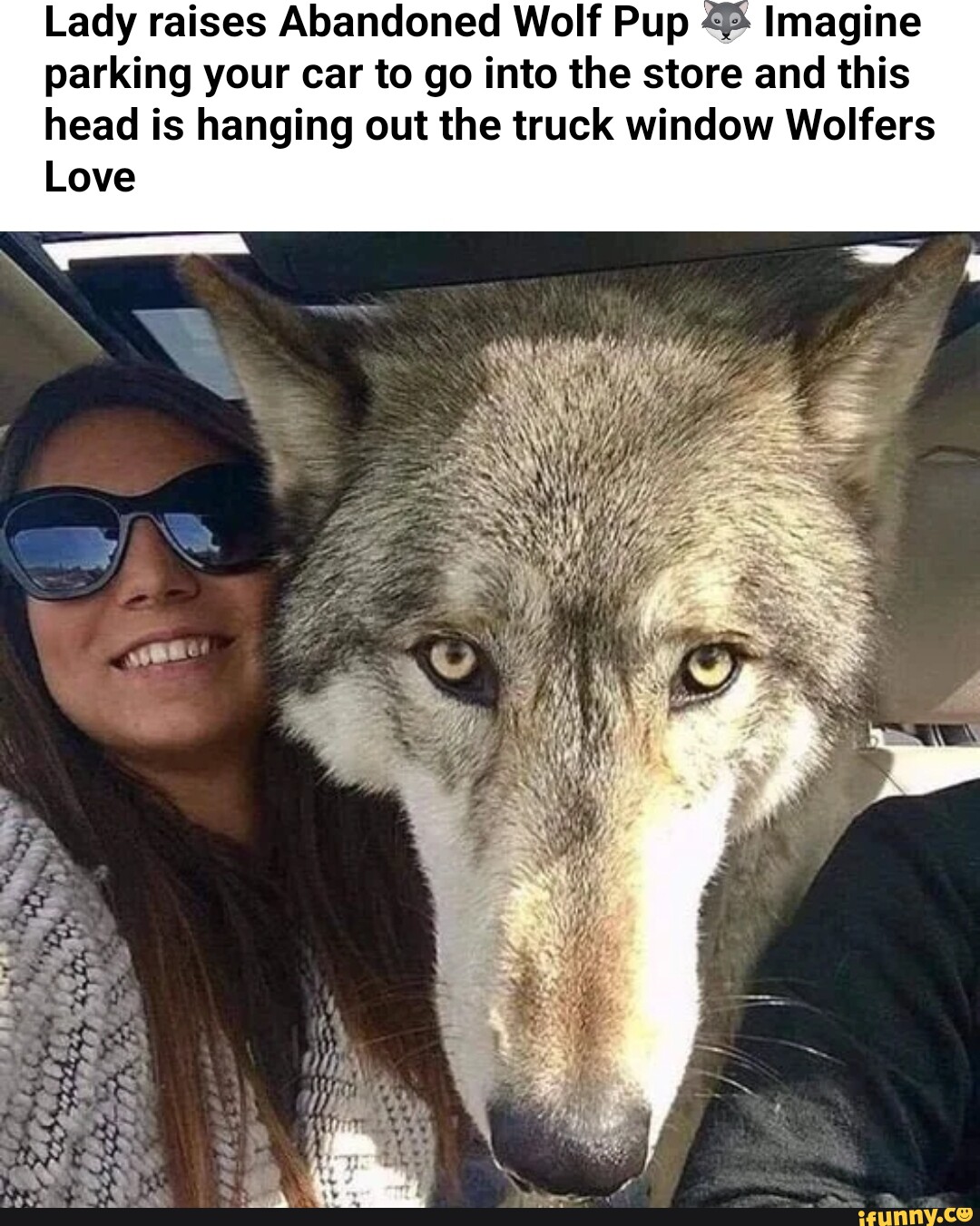 Lady raises Abandoned Wolf Pup Imagine parking your car to go into the ...