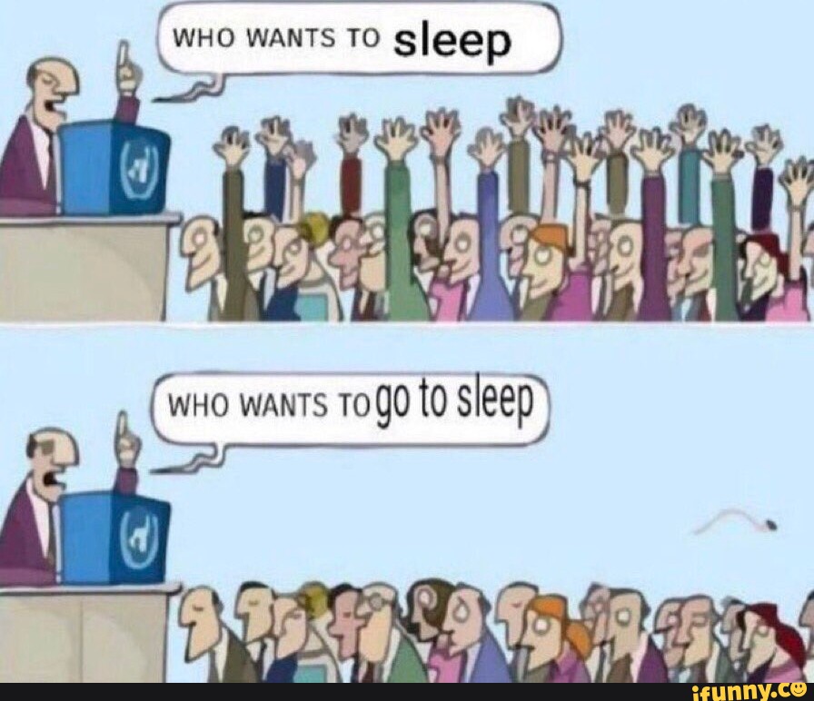 (wHo waNTs To sleep wo wanrs T090 sleep) - iFunny