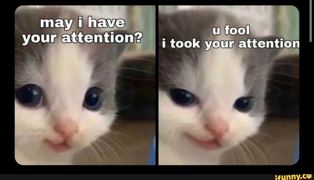 May i have fool your attention? i took your attention - iFunny