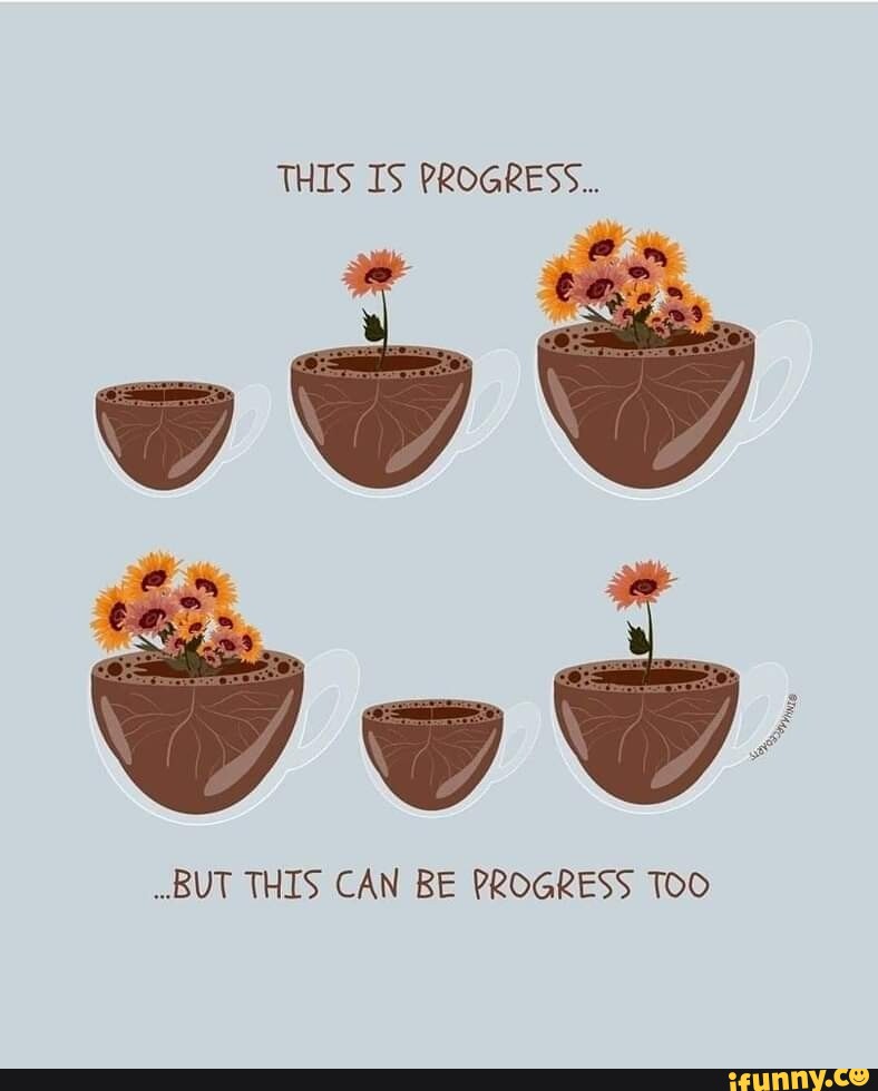 THIS IS PROGRESS... BUT THIS CAN BE PROGRESS TOO - iFunny