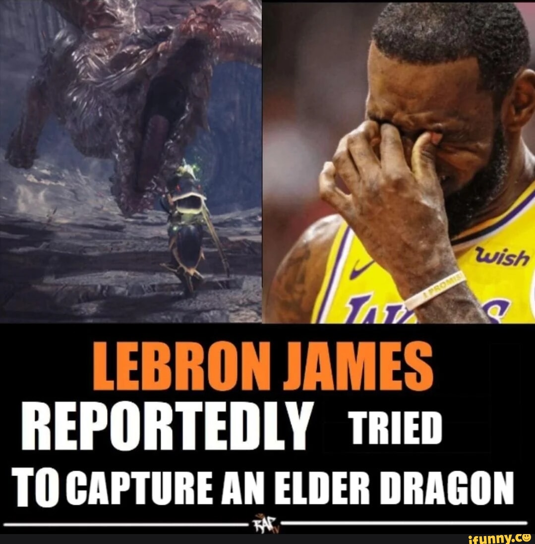 Lebron James Tried Reportedly To Capture An Elder Dragon Ifunny