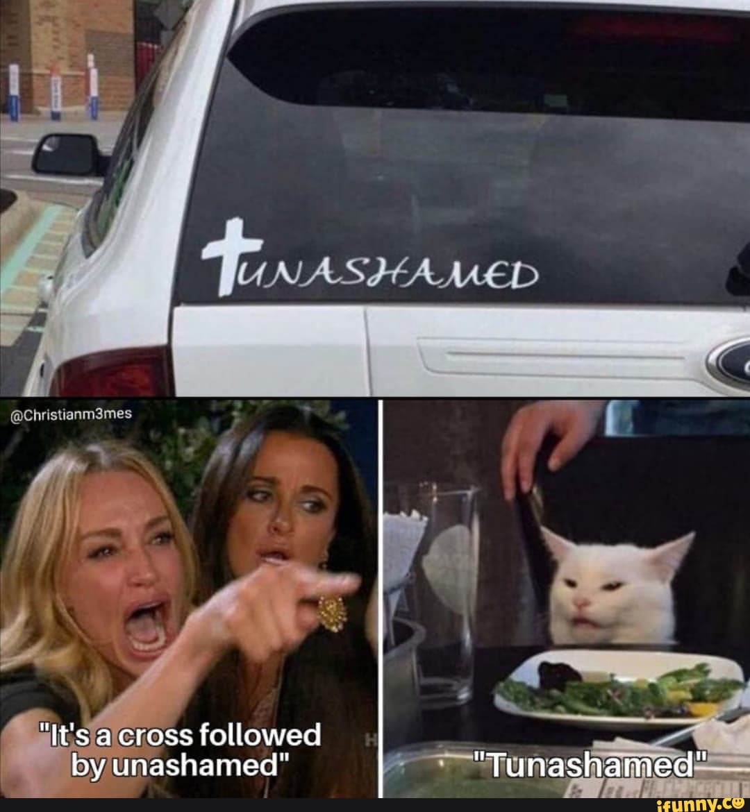 @Christianm3mes "It's a crass followed by unashamed" "Tunashamed" - iFunny