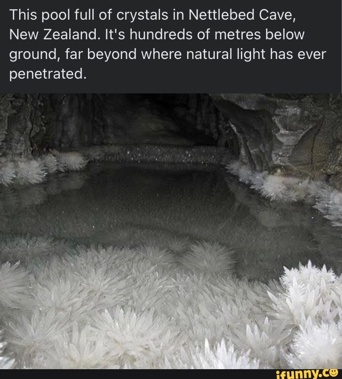 This pool full of crystals in Nettlebed Cave, New Zealand. It's ...