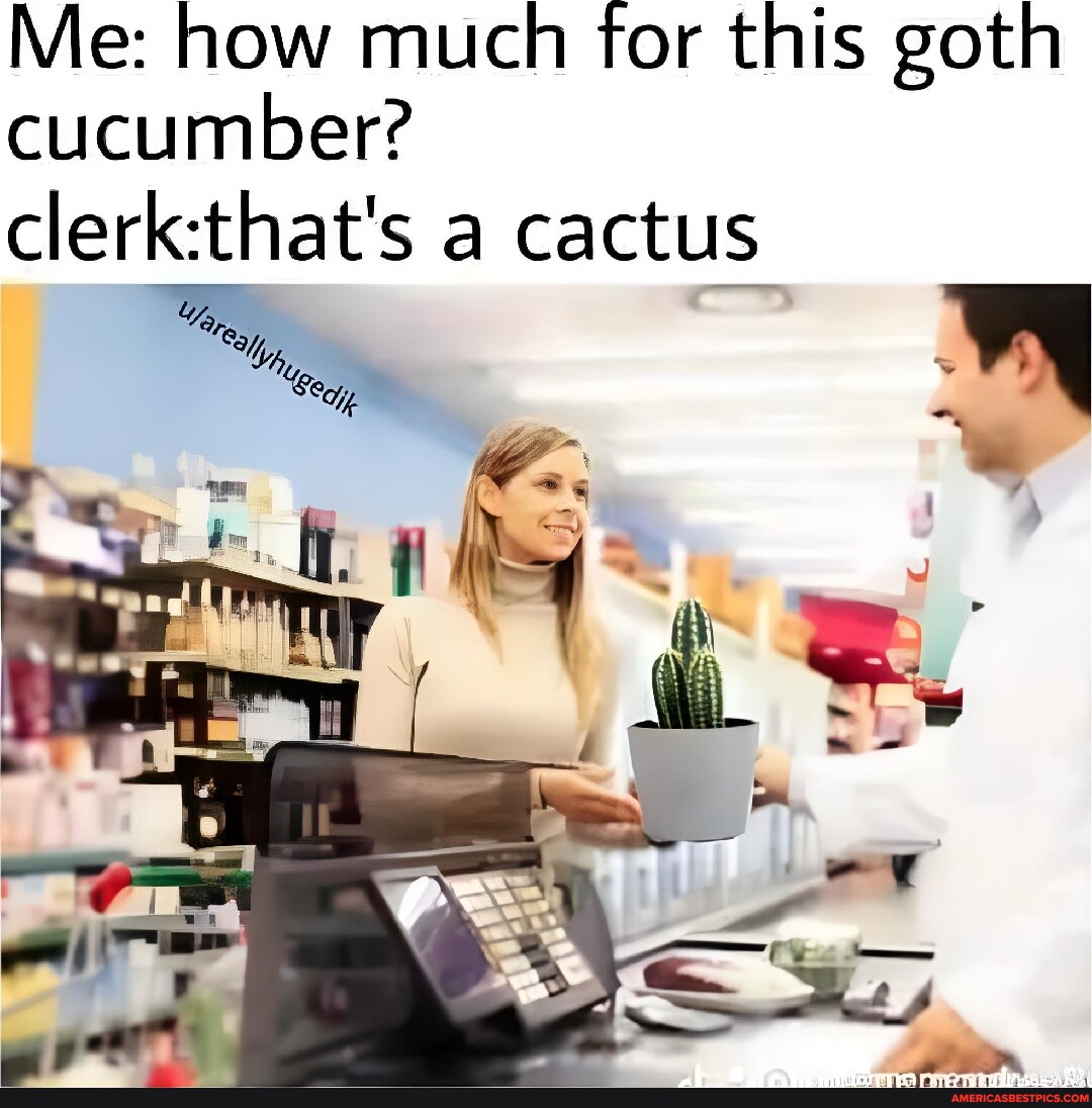 Me: how much for this goth cucumber? a cactus - America’s best pics and ...