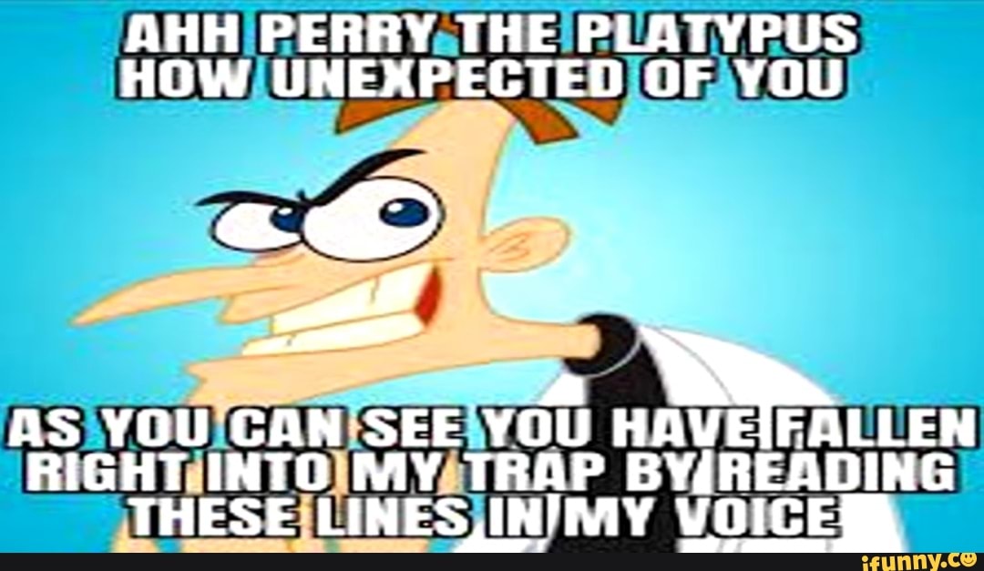 AHH PERRY THE PLATYPUS HOW UNEXPECTED OF YOU AS YOU GAN SEE YOU ...