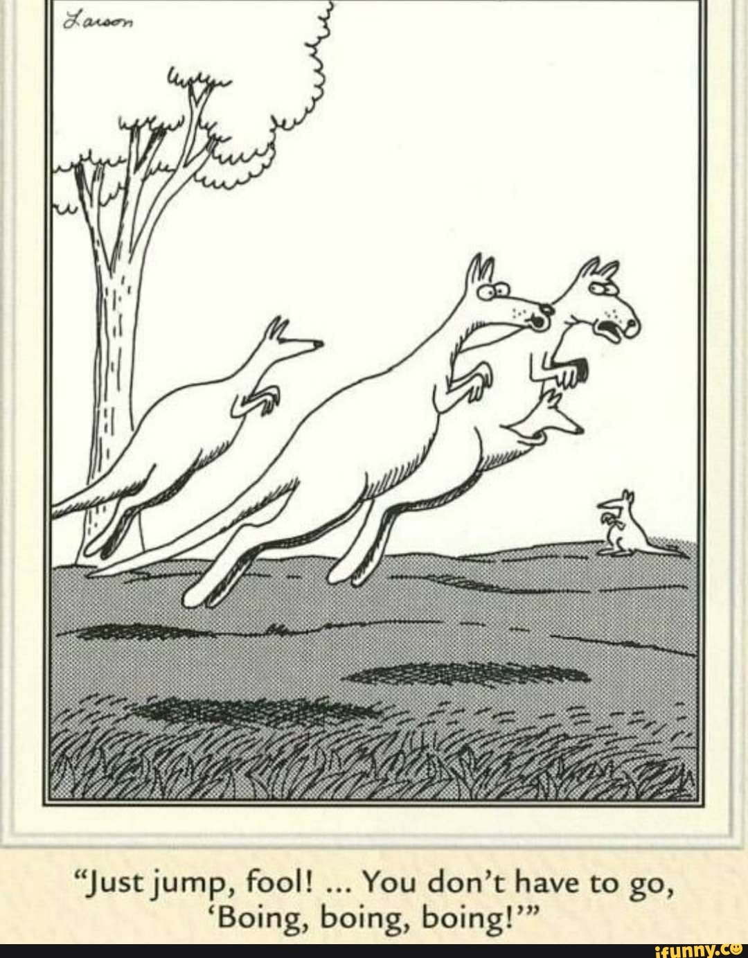 "Just jump, fool! You don't have to go, 'Boing, boing, boing!'" - iFunny
