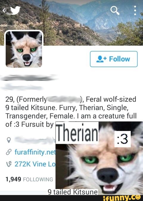 Follow 29, (Formerly Feral wolf-sized 9 tailed Kitsune. Furry, Therian ...
