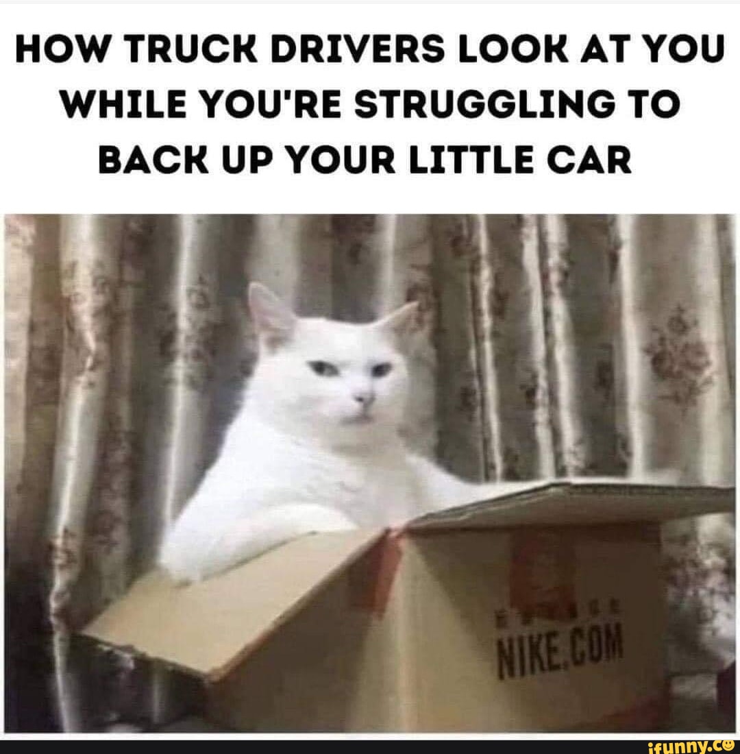 Drivers memes. Best Collection of funny Drivers pictures on iFunny
