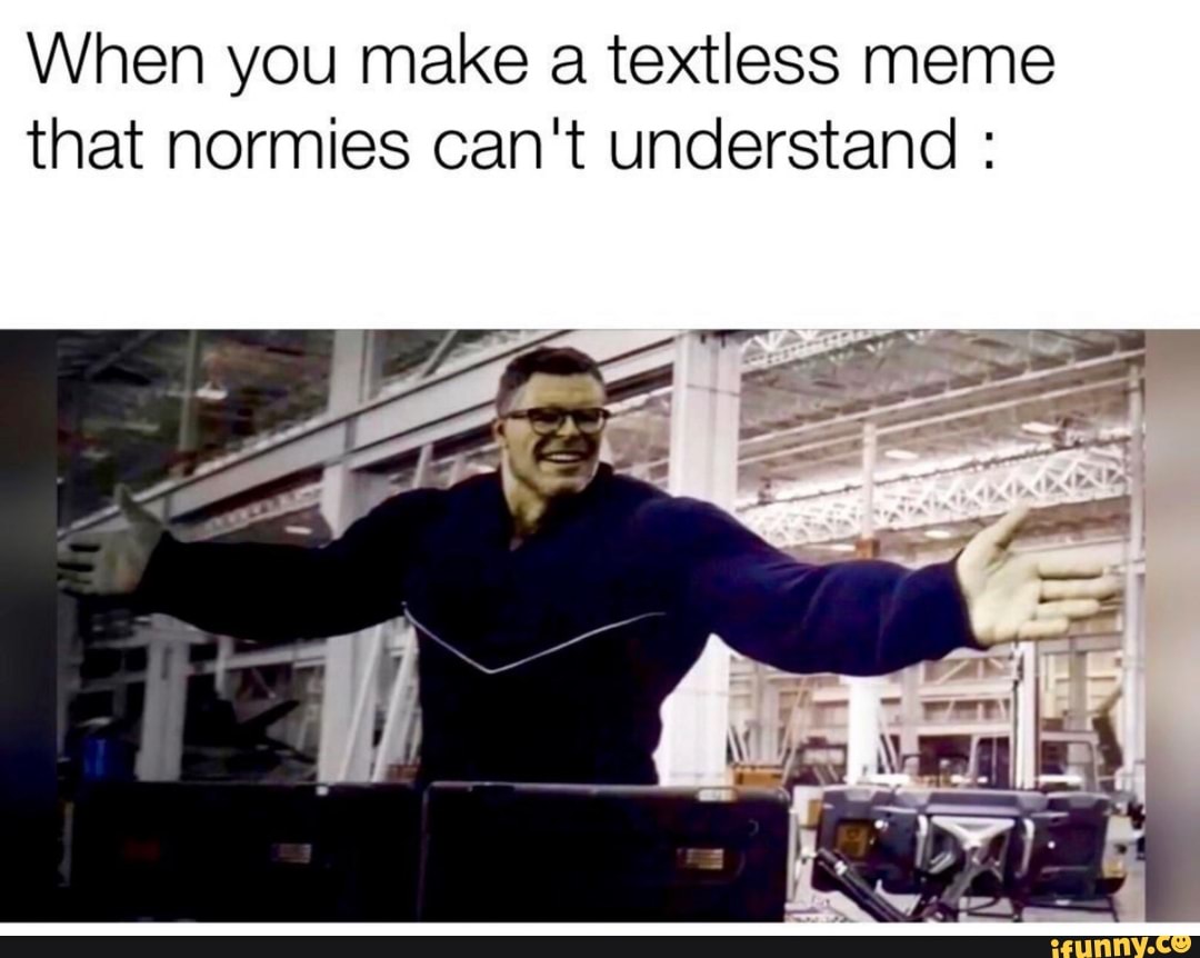 When you make a textless meme that normies can't understand : - iFunny