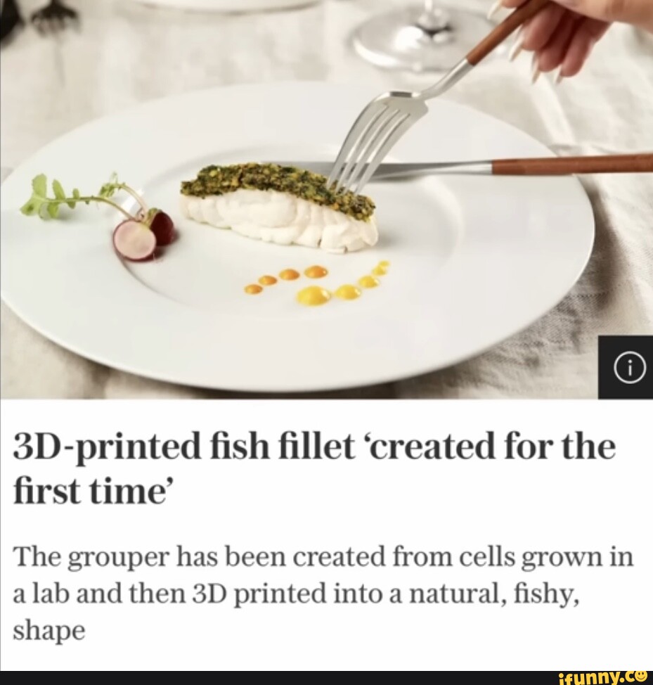 Grouper memes. Best Collection of funny Grouper pictures on iFunny