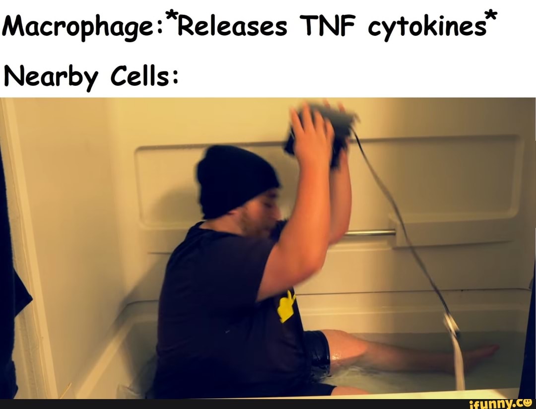 Biologymeme memes. Best Collection of funny Biologymeme pictures on iFunny