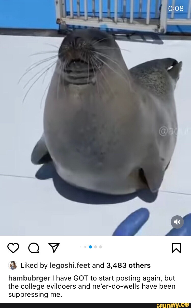 Legoshi memes. Best Collection of funny Legoshi pictures on iFunny