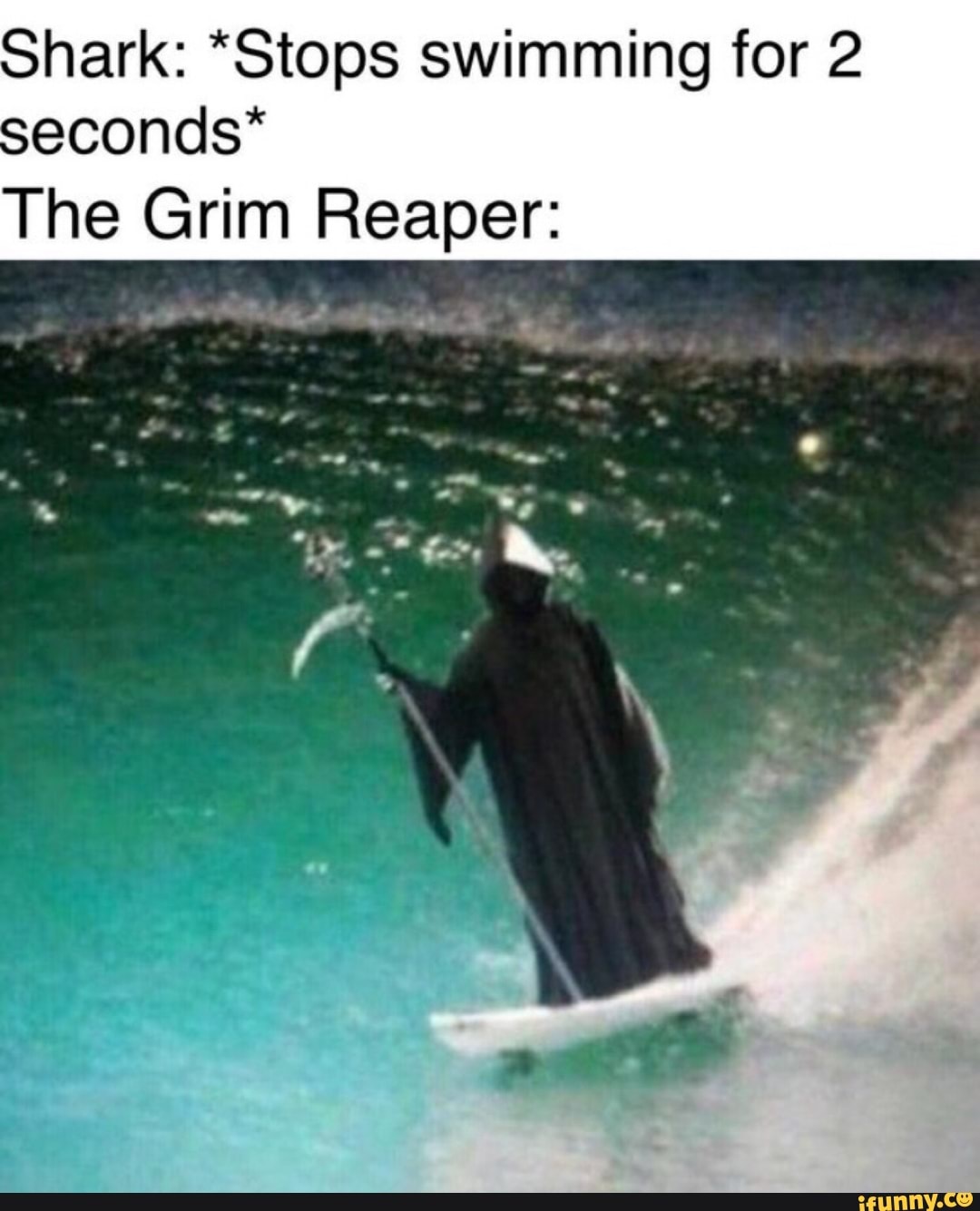 Shark: *Stops swimming for 2 The Grim Reaper: - iFunny