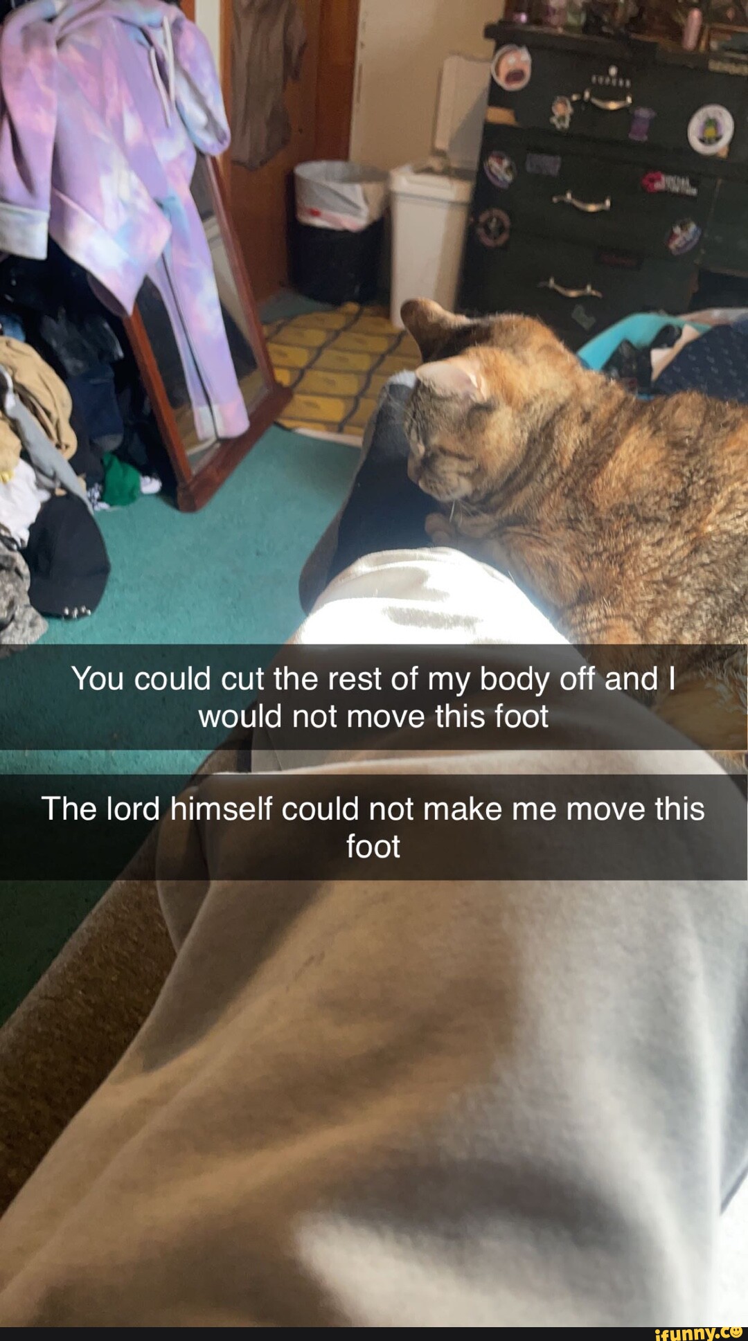 You could cut the rest of my body off and I I would not move this foot ...