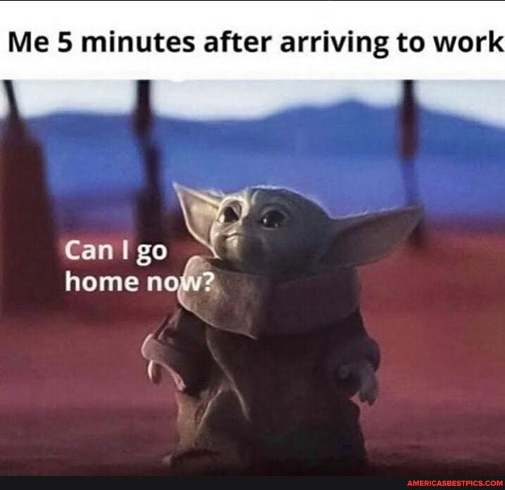 Me 5 minutes after arriving to work Can! go home now?, - America’s best ...