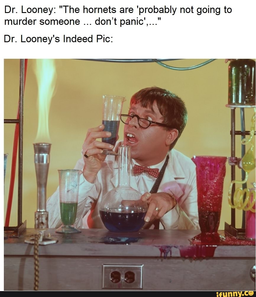 Looneys memes. Best Collection of funny Looneys pictures on iFunny