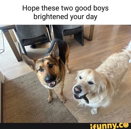 Brightened memes. Best Collection of funny Brightened pictures on iFunny