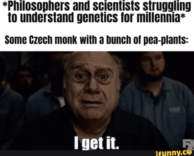 Phil Jamesson Philosophy 101 Midterm I Mario, the Idea vs. Mario, the ...