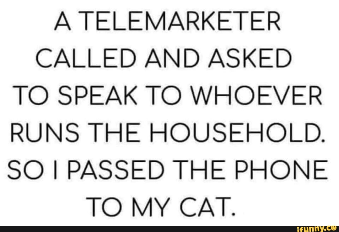 A TELEMARKETER CALLED AND ASKED TO SPEAK TO WHOEVER RUNS THE HOUSEHOLD ...