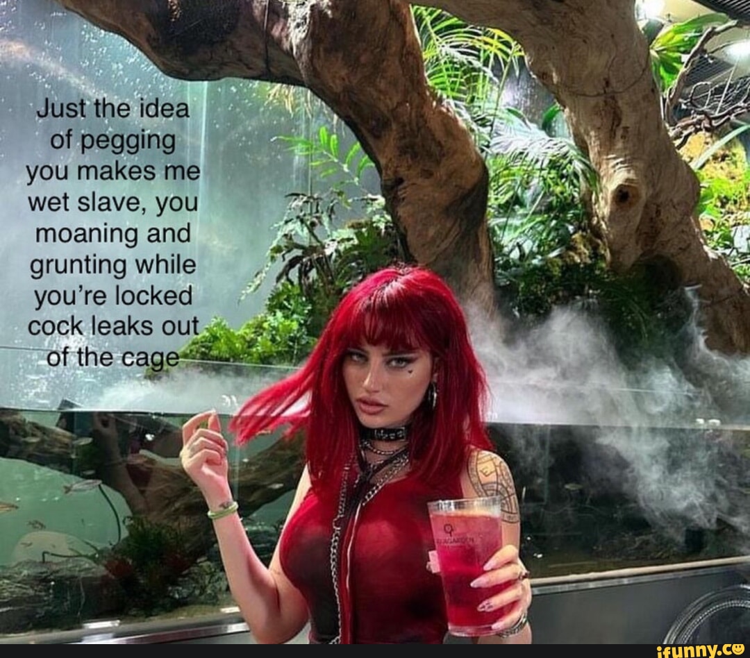 Pegging memes. Best Collection of funny Pegging pictures on iFunny