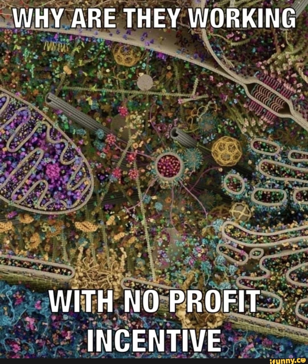 WHY ARE THEY WORKING WITH NO PROFIT INCENTIVE - iFunny