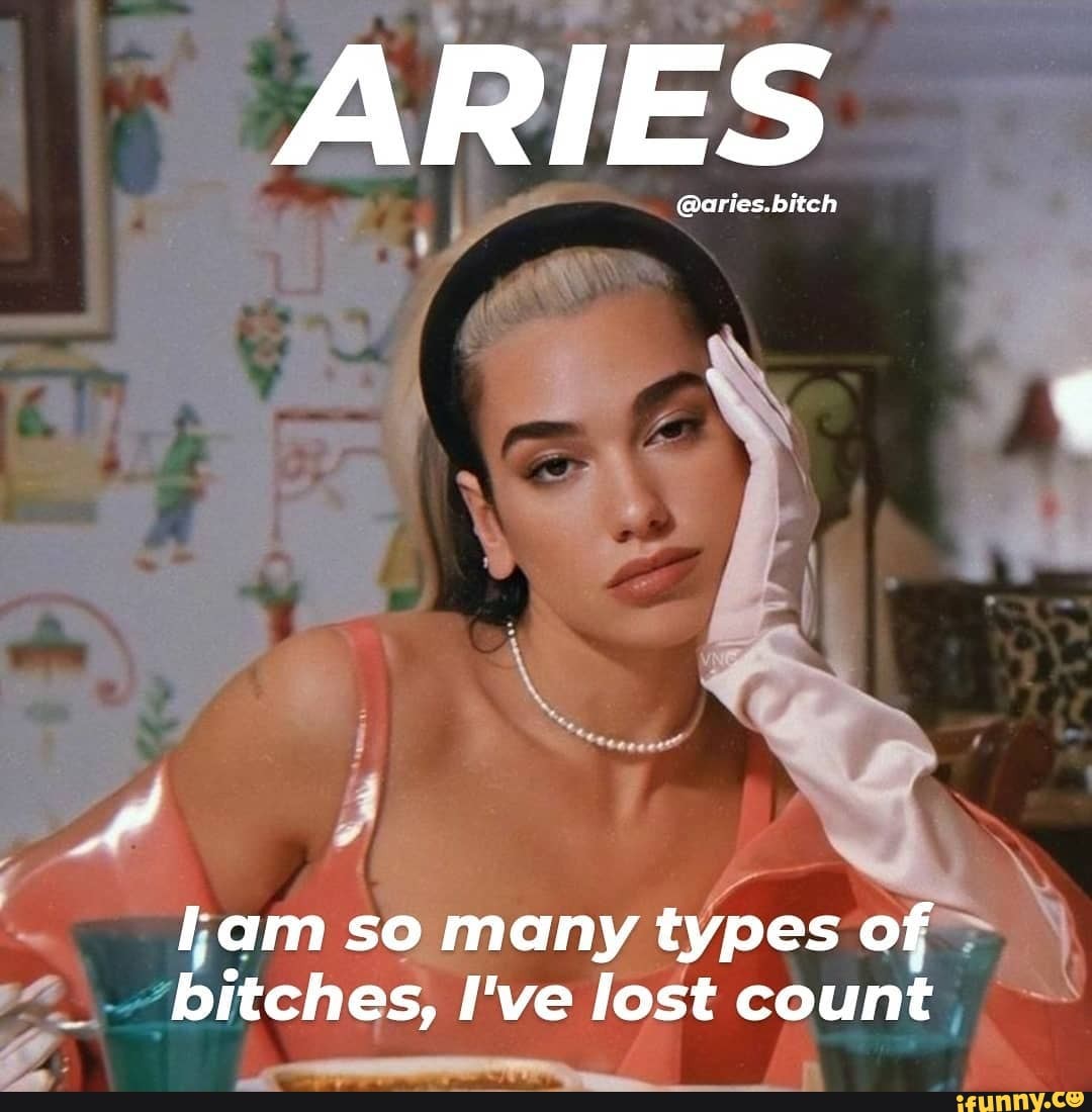 ARIES am so many types of bitches, I've lost count - iFunny