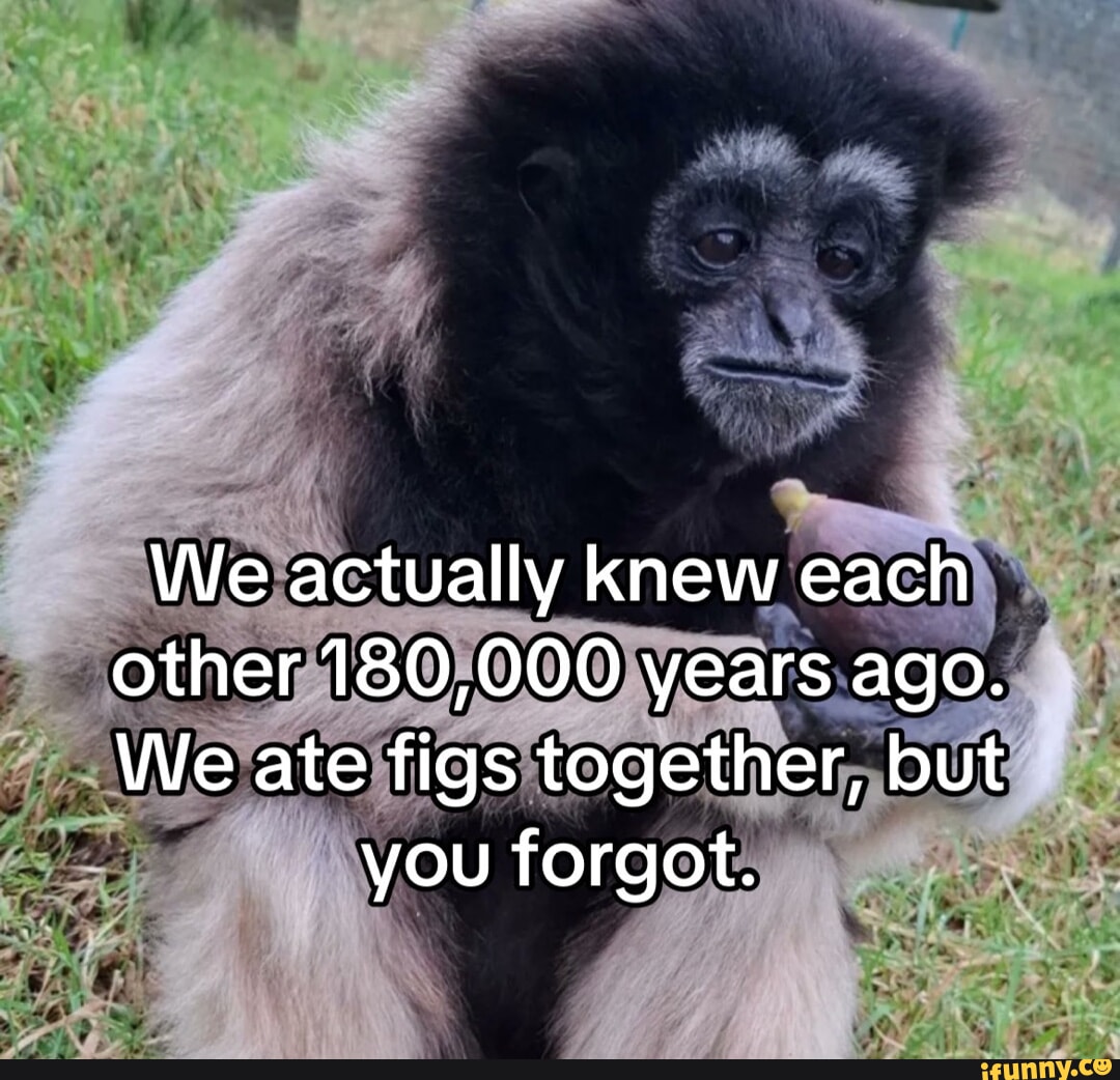 We actually knew each other 180,000 years ago. We ate figs together ...